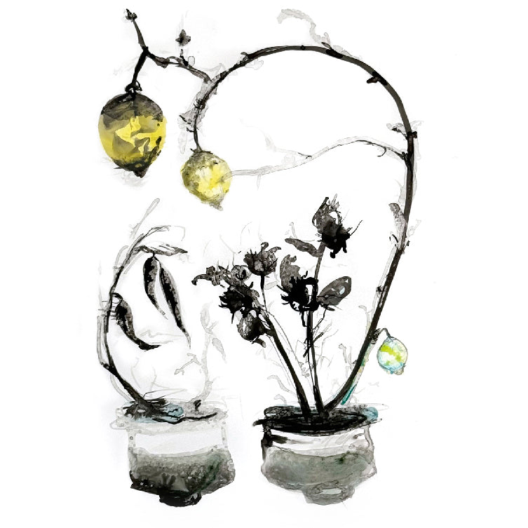 Merrian Dennis - In Home – TACIT ART