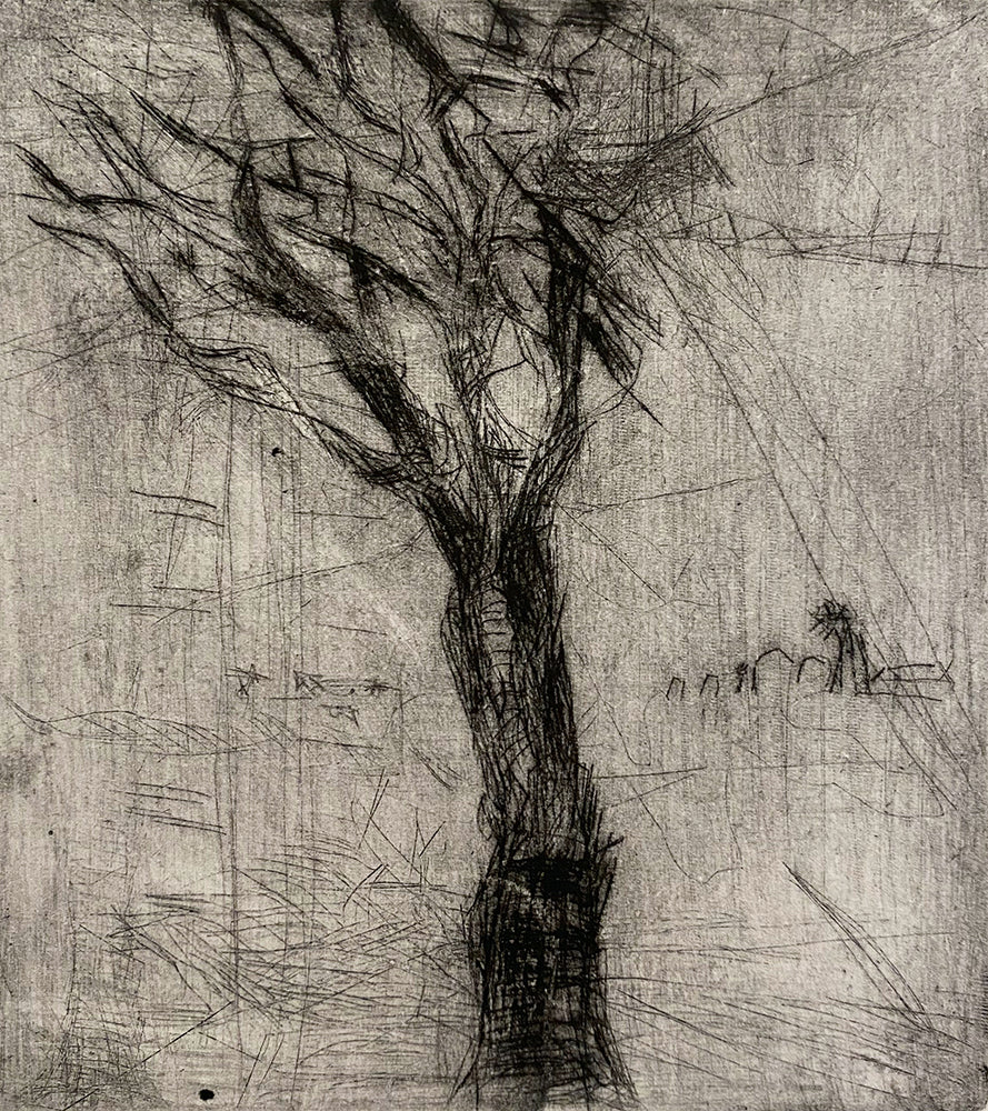 Louise Donovan - Shadow – TACIT ART