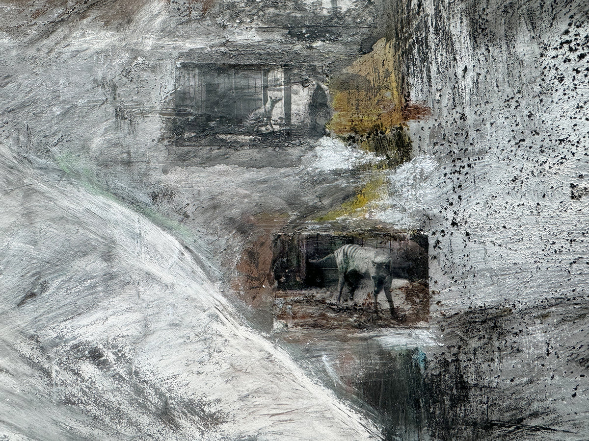 Christine Gibbs - Our Last Home on Earth – TACIT ART