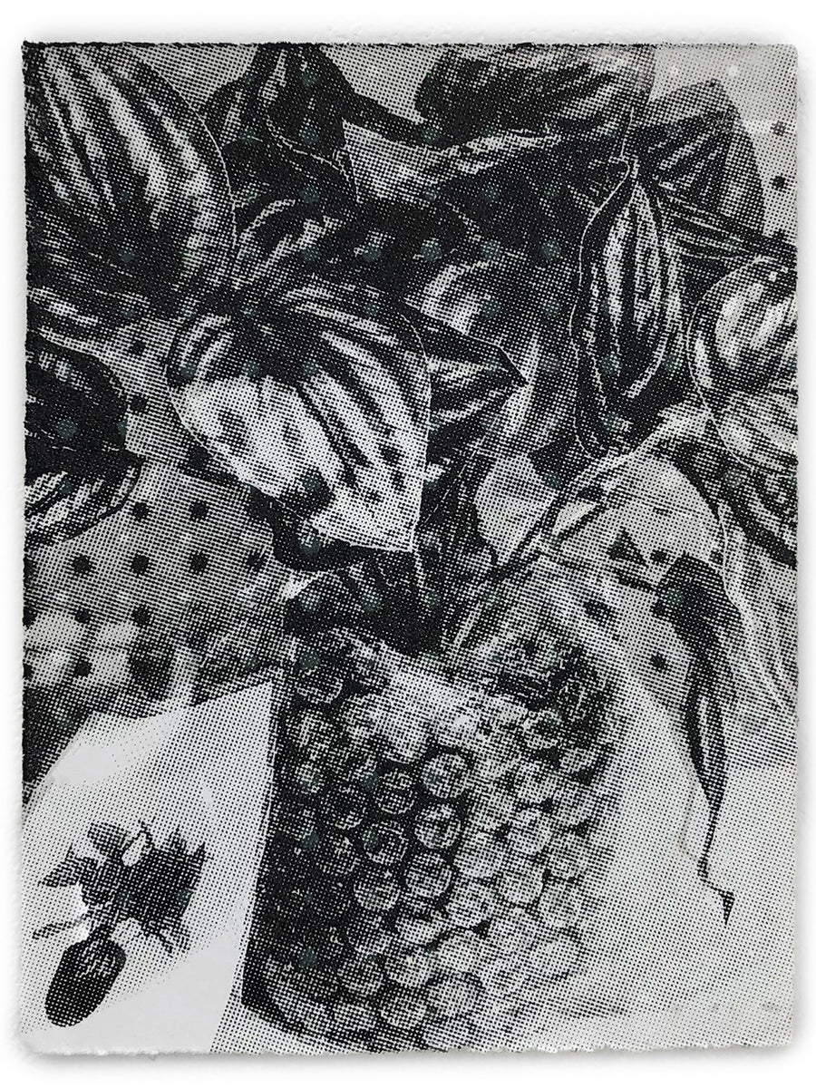 David McBurney - Living with Reproduction II – TACIT ART
