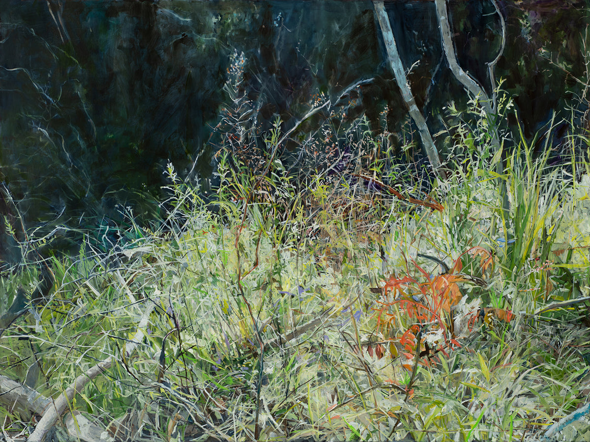 Liz Sullivan - First Dark – TACIT ART