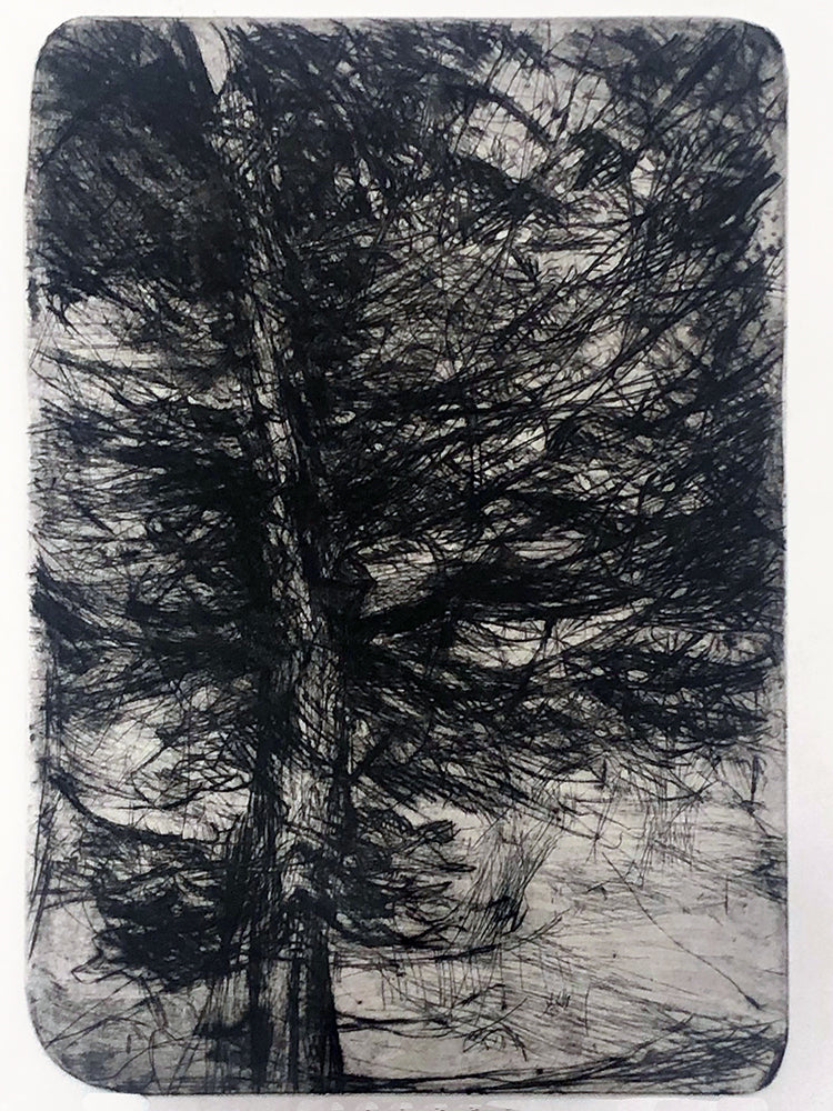 Louise Donovan - At the Window – TACIT ART
