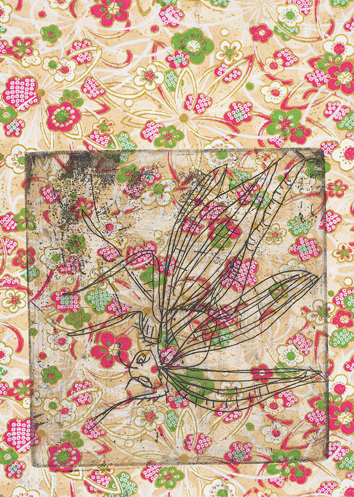 Jan Palethorpe - Alpine Stonefly – TACIT ART