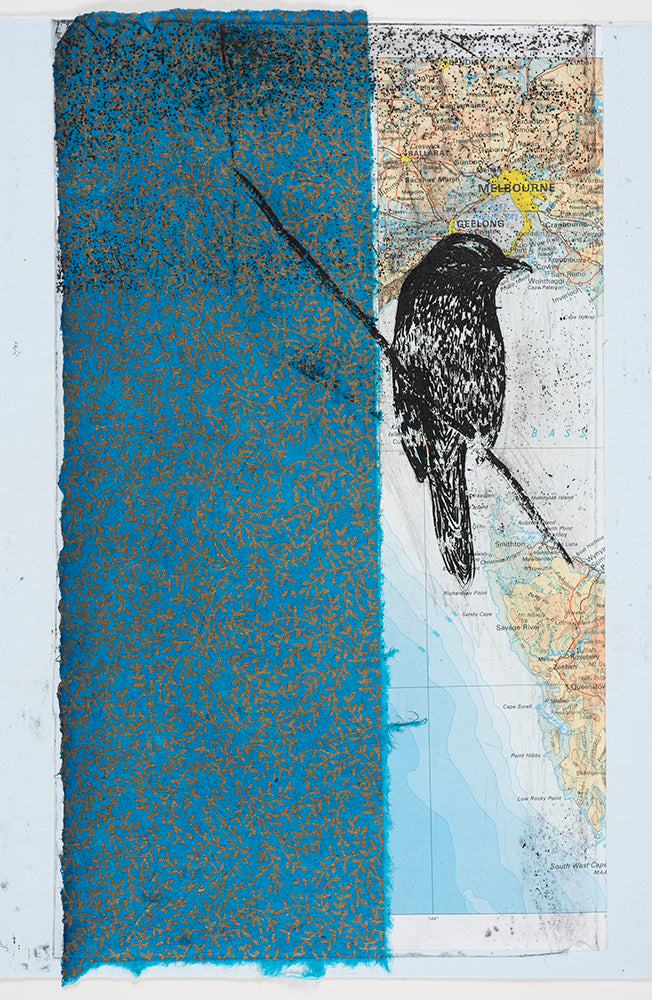 Jan Palethorpe - Helmeted Honeyeater – TACIT ART