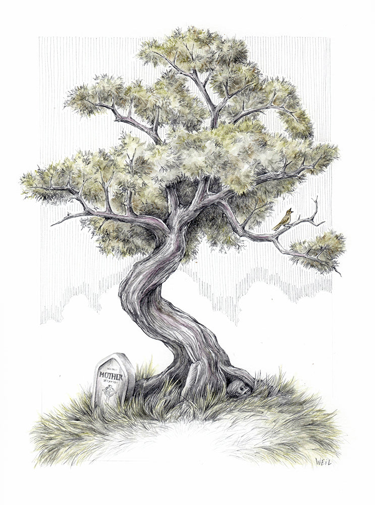 Juniper Tree Art