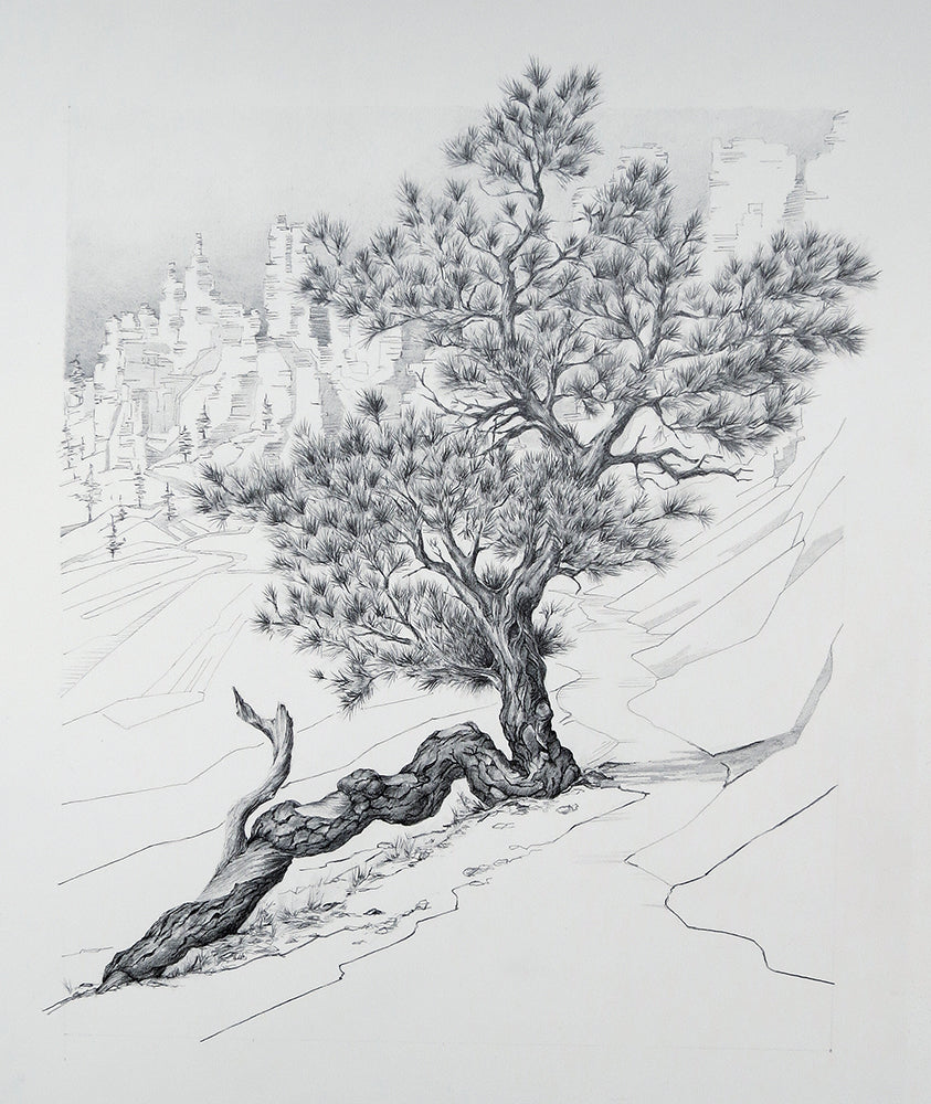 Linda Weil - Grandmother Tree – TACIT ART